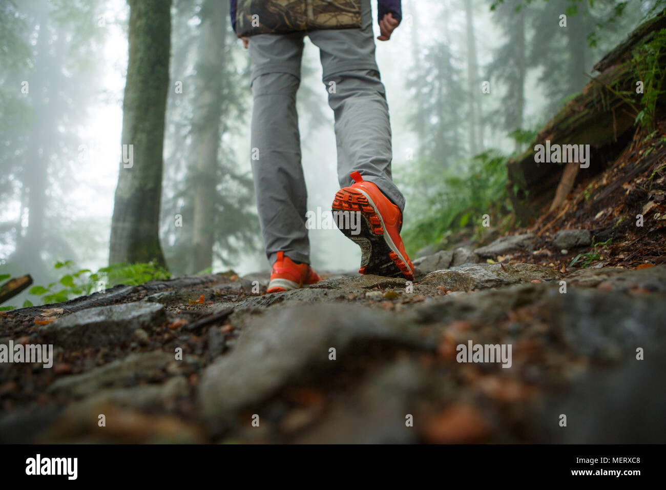 Picture of human walking on ladder of logs Stock Photo - Alamy