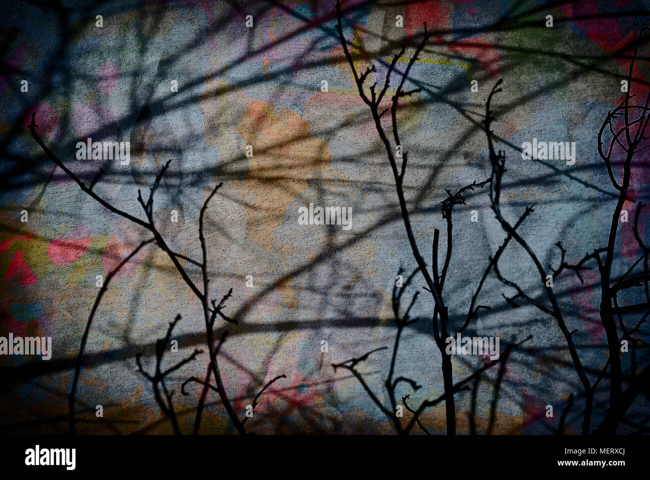 Shadow of branches on wall in the night Stock Photo - Alamy