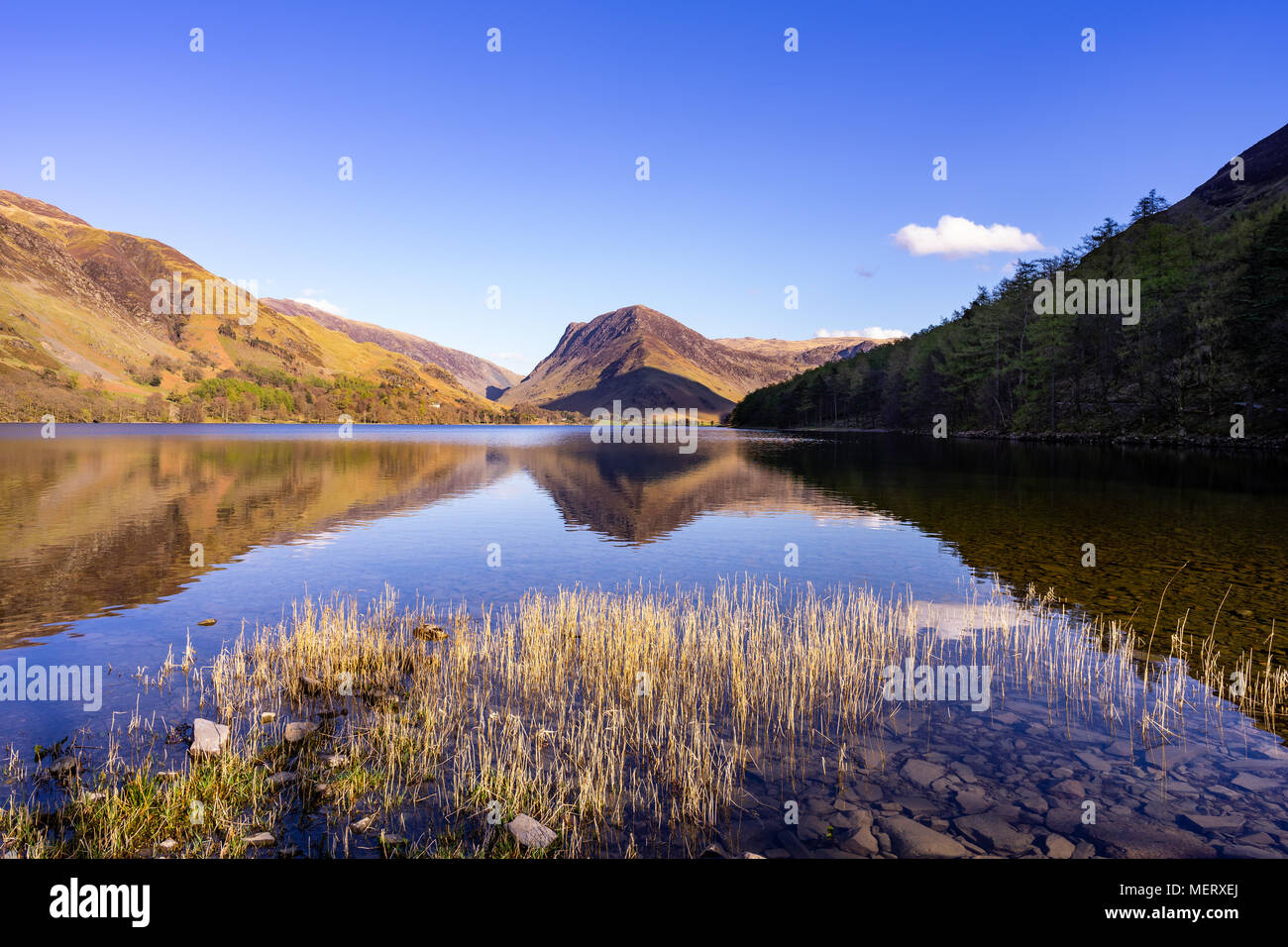 Buttermere, Fleetwith Pike and Burtness Wood Stock Photo - Alamy