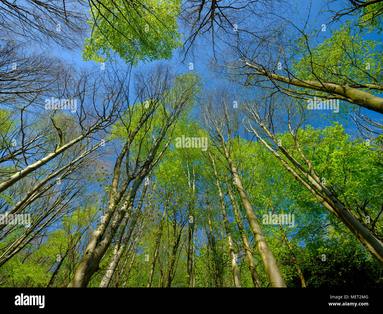 Unusual viewpoint hi-res stock photography and images - Alamy