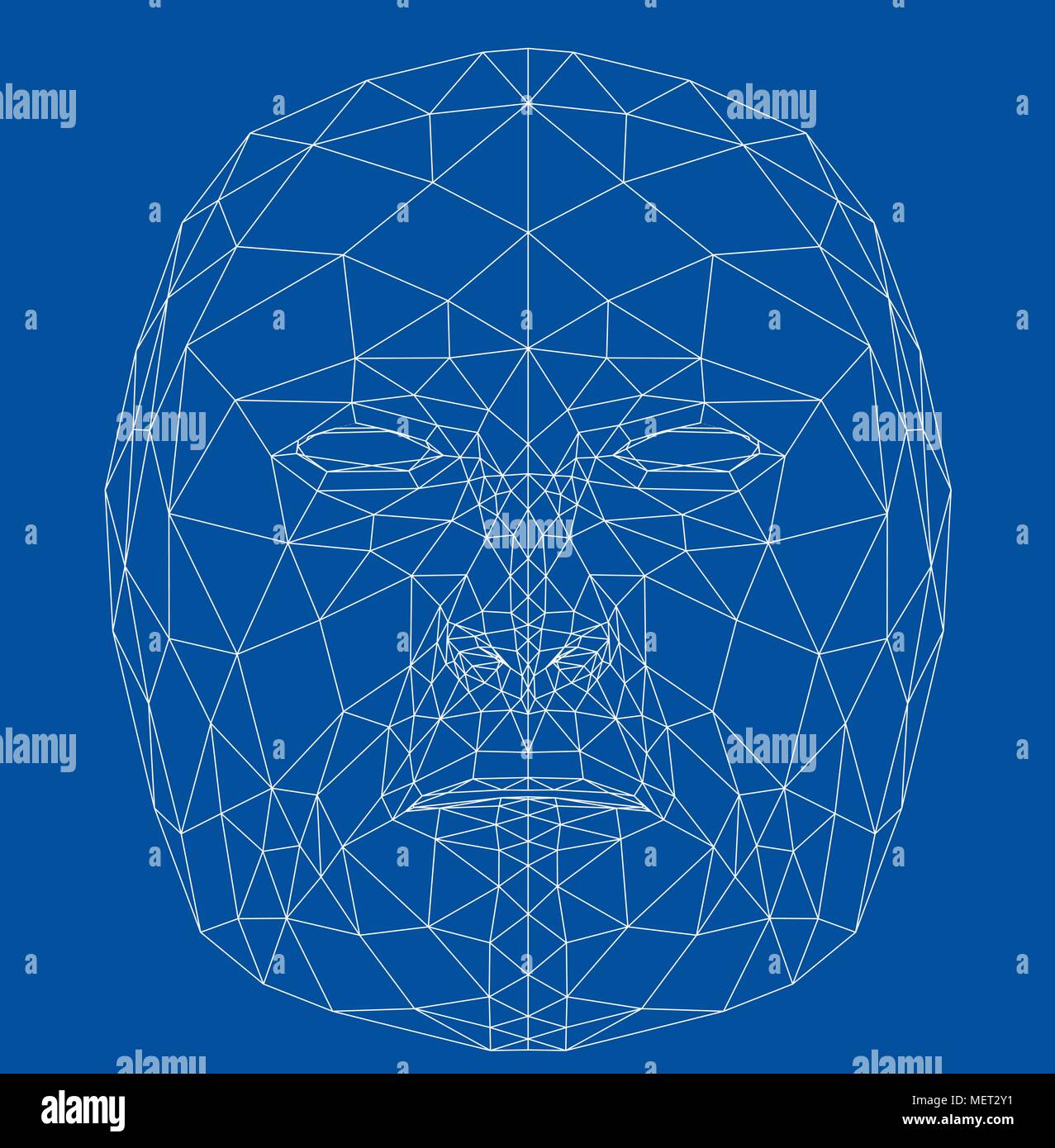 Wire-frame abstract human face Stock Vector Image & Art - Alamy