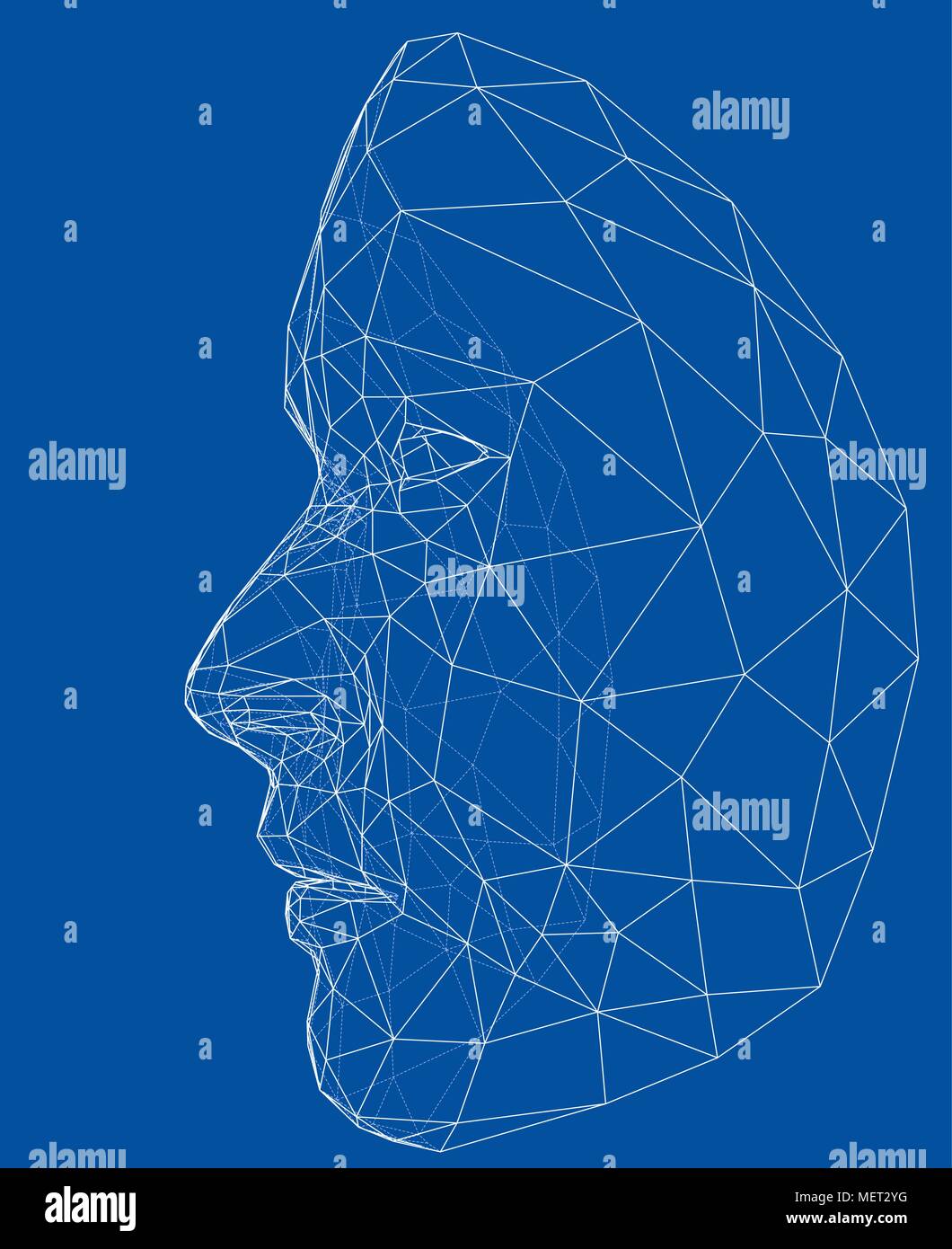 Wire-frame abstract human face Stock Vector Image & Art - Alamy