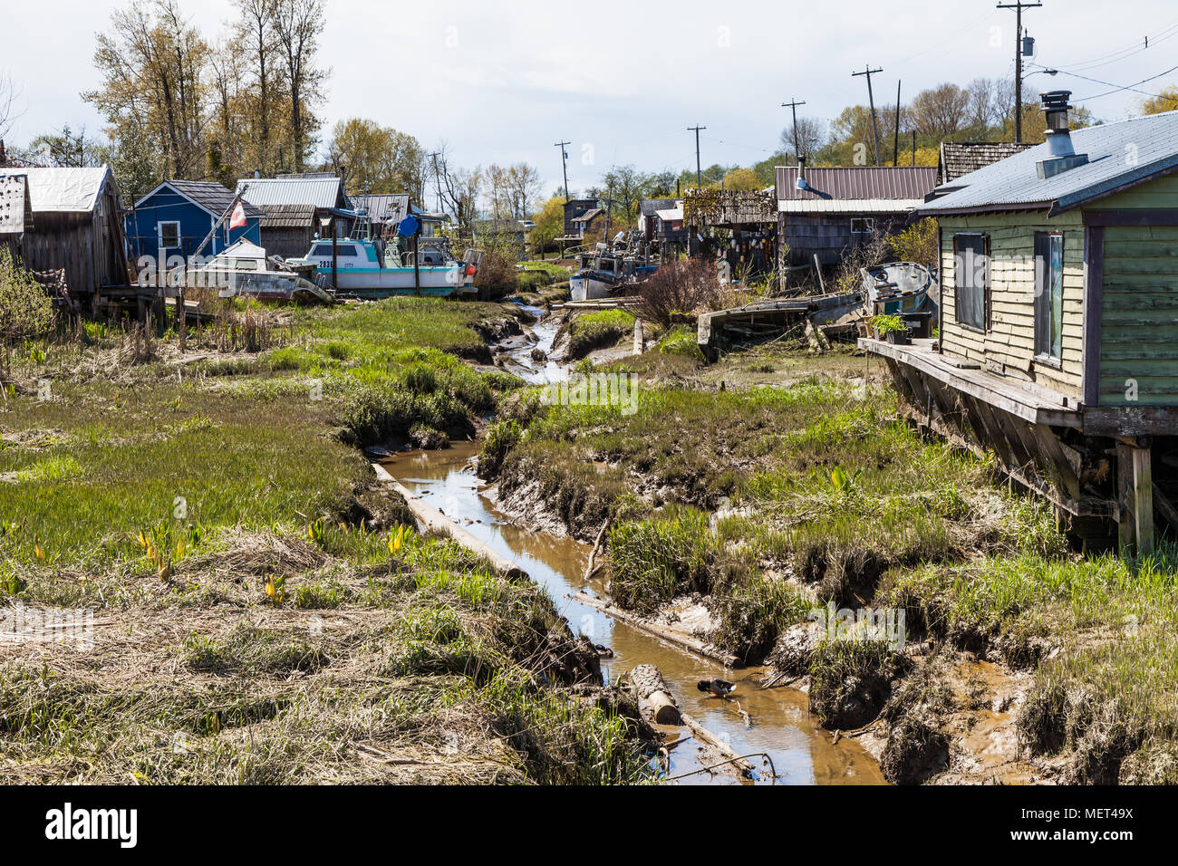 Tidal slough hi-res stock photography and images - Alamy