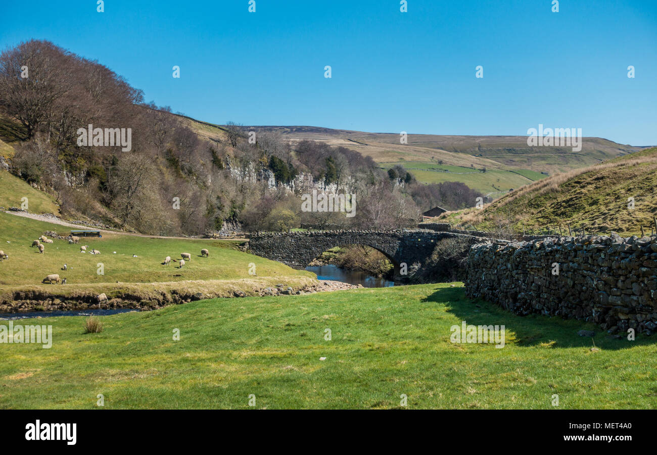 beautiful old stone bridge over the River Swale in Swaledale, Yorkshire ...