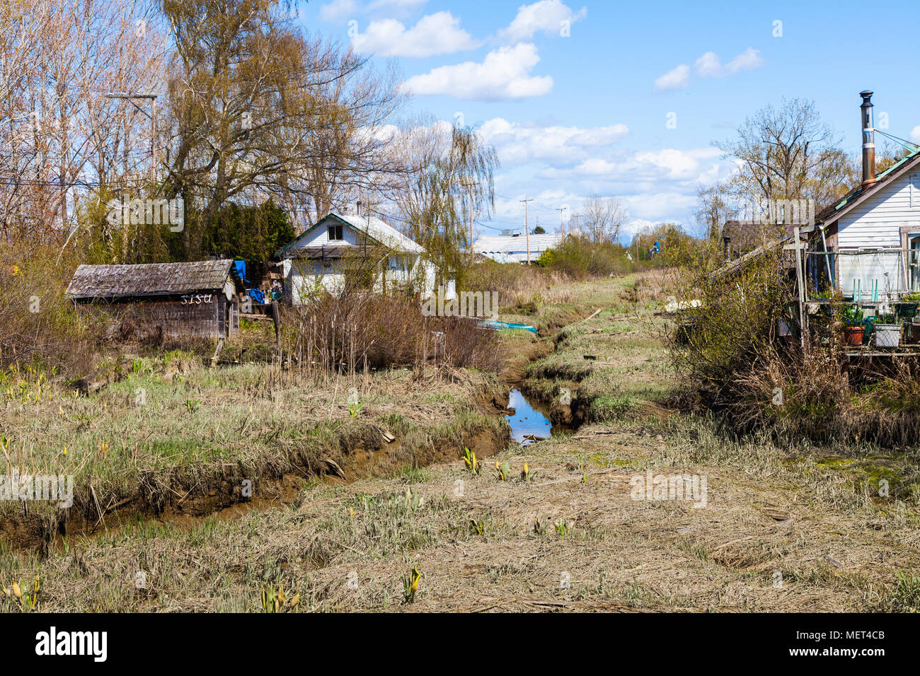 Tidal slough hi-res stock photography and images - Alamy
