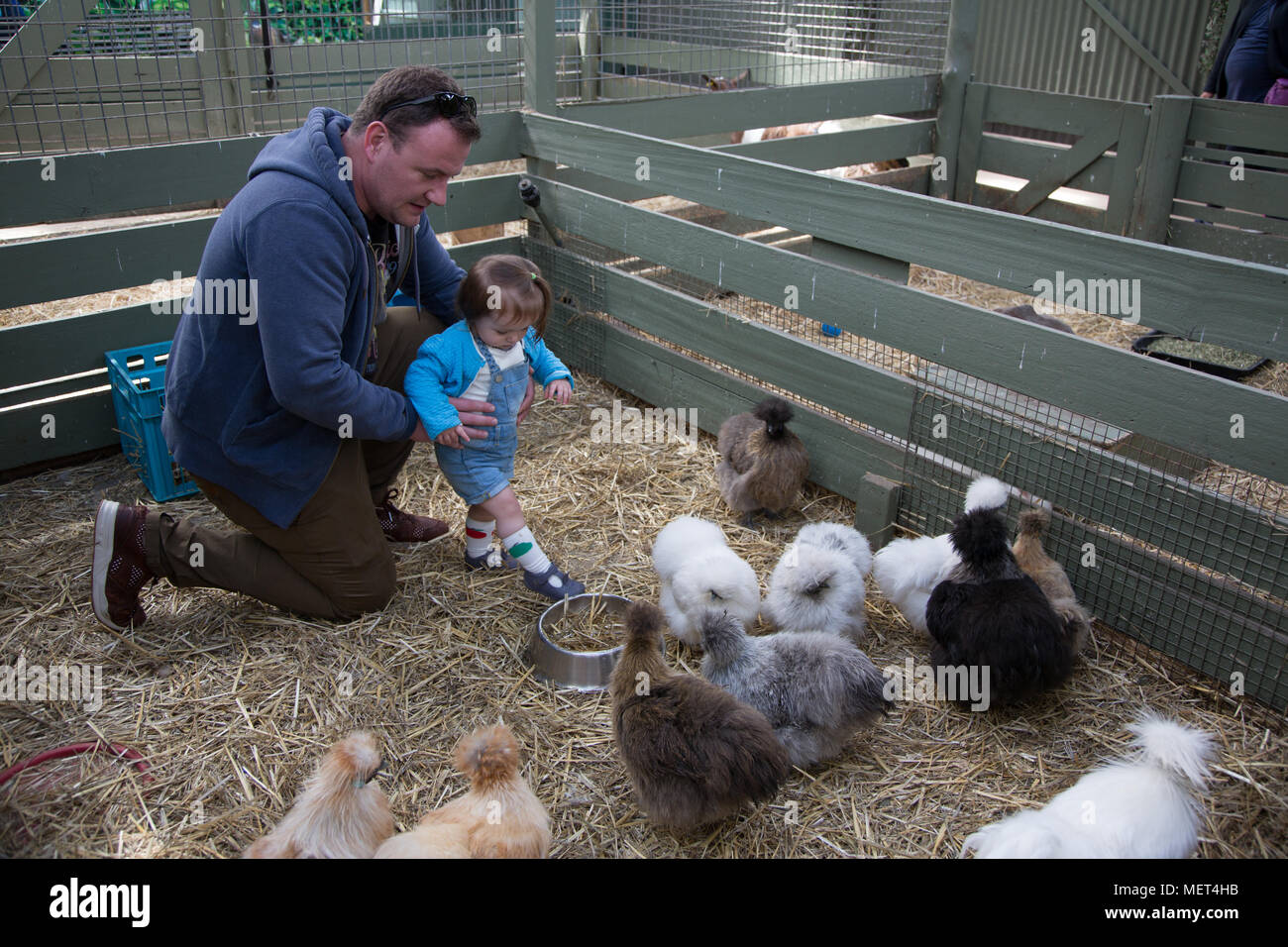 Family at a farm Stock Photo - Alamy