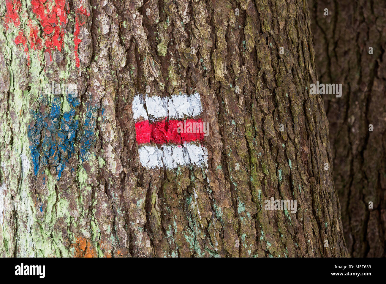 Tourist sign on the tree for a tourist trip Stock Photo - Alamy