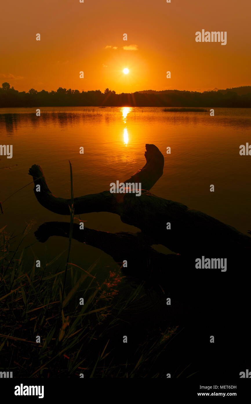 scenic naturally of golden hours sunset Stock Photo - Alamy