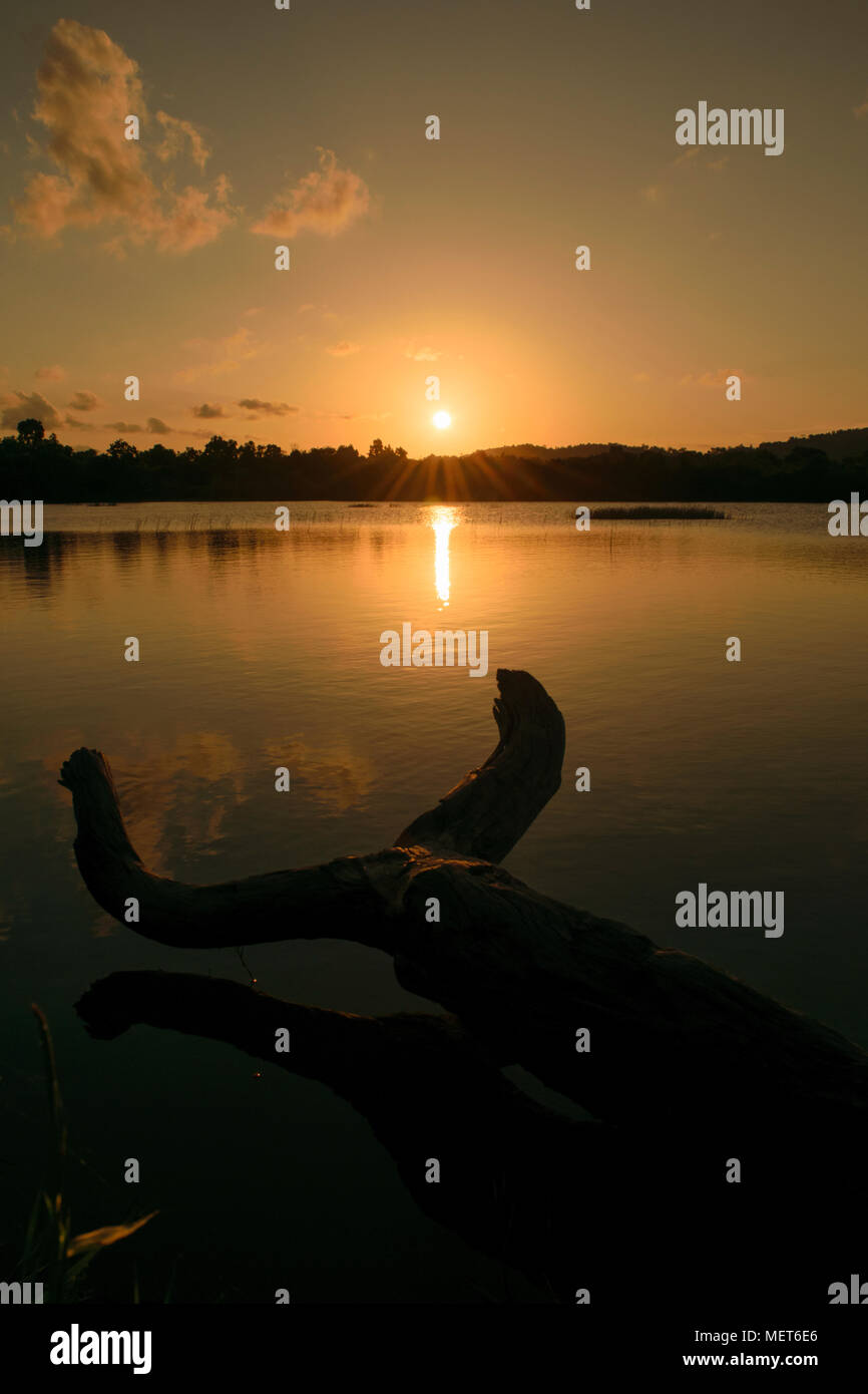 scenic naturally of golden hours sunset Stock Photo - Alamy