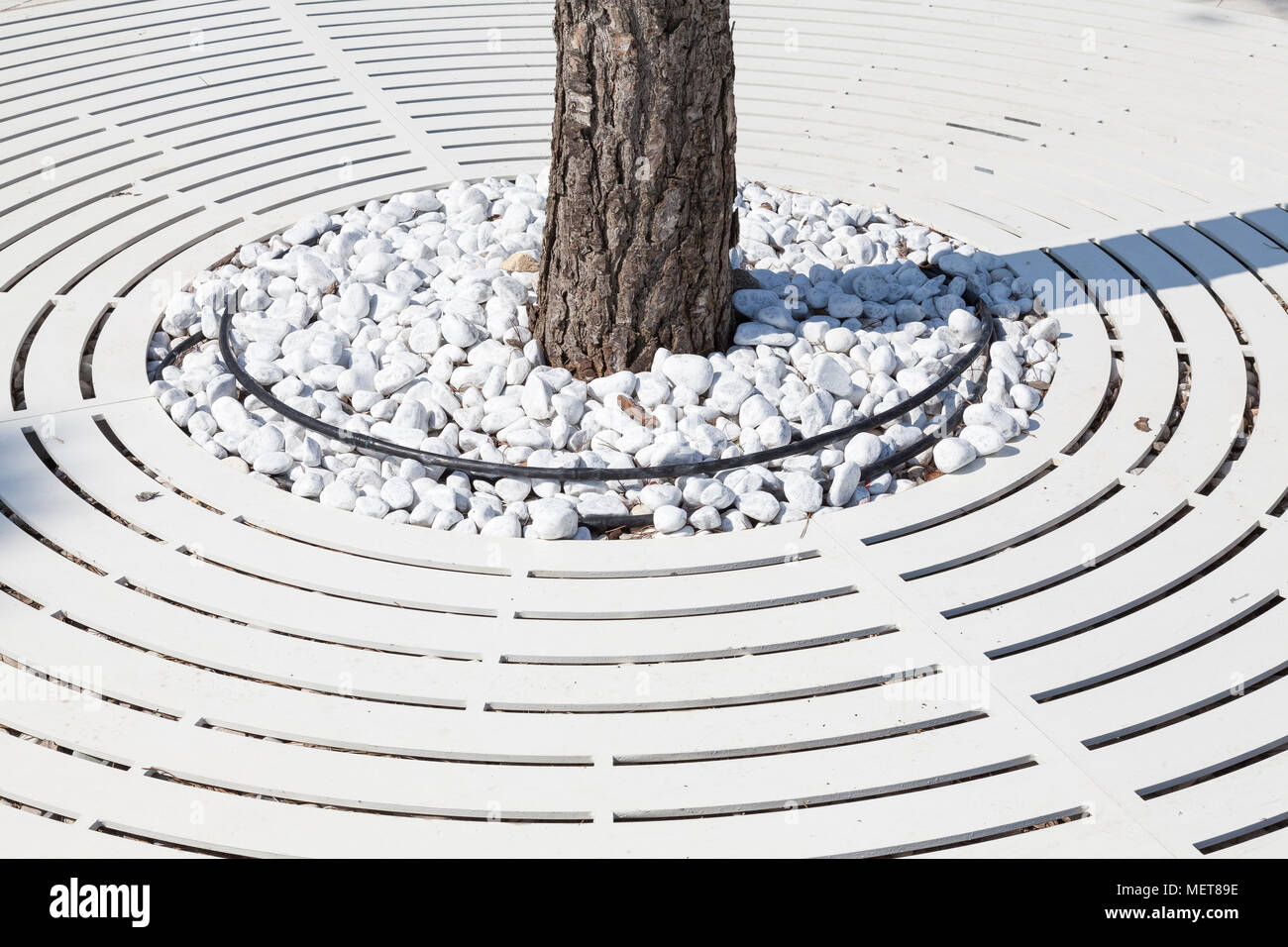 Two Circles Stone Around Tree