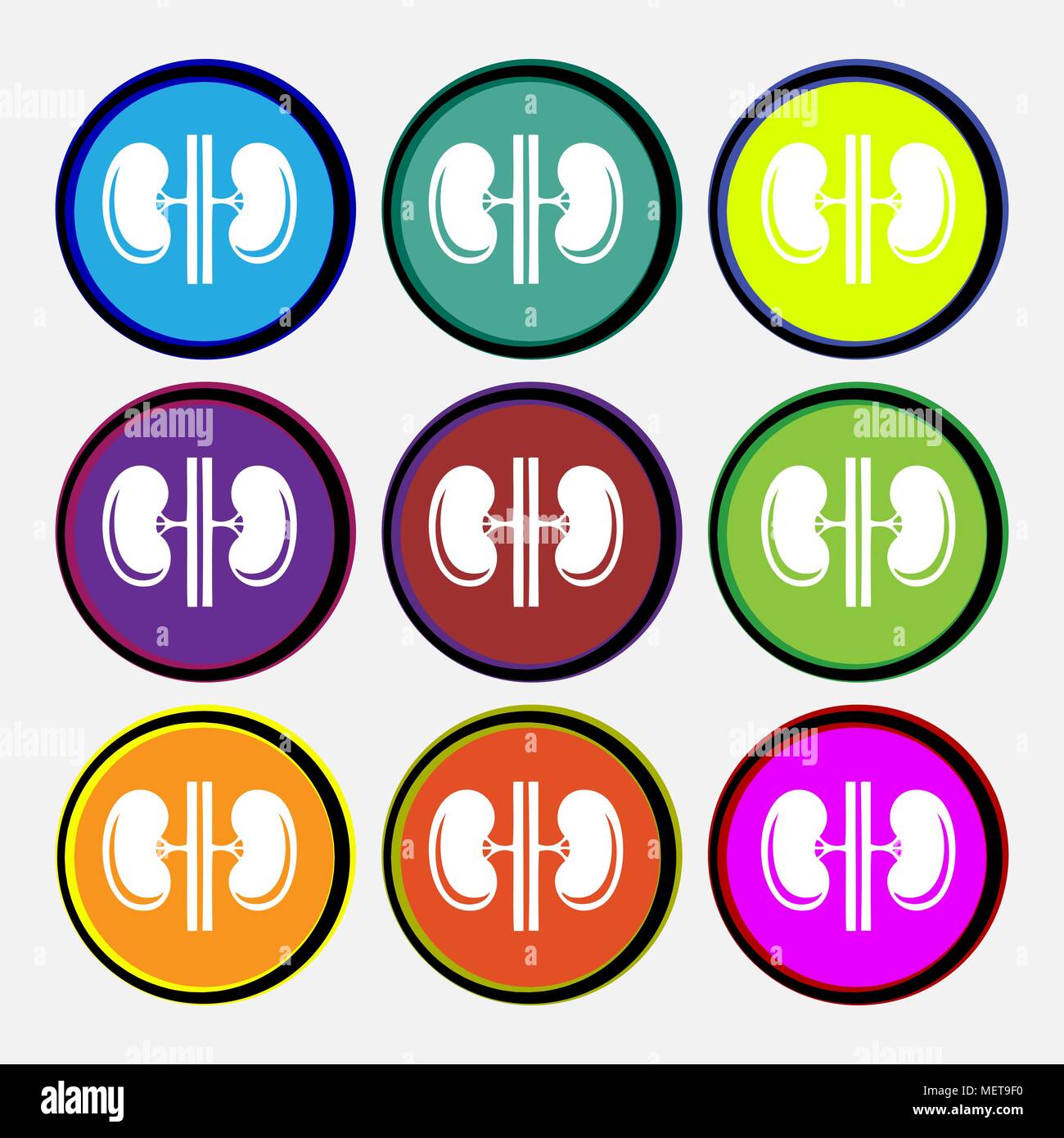 Kidneys icon sign. Nine multi colored round buttons. Vector ...