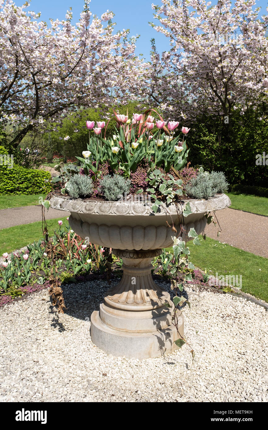 Blossom london park hi-res stock photography and images - Alamy