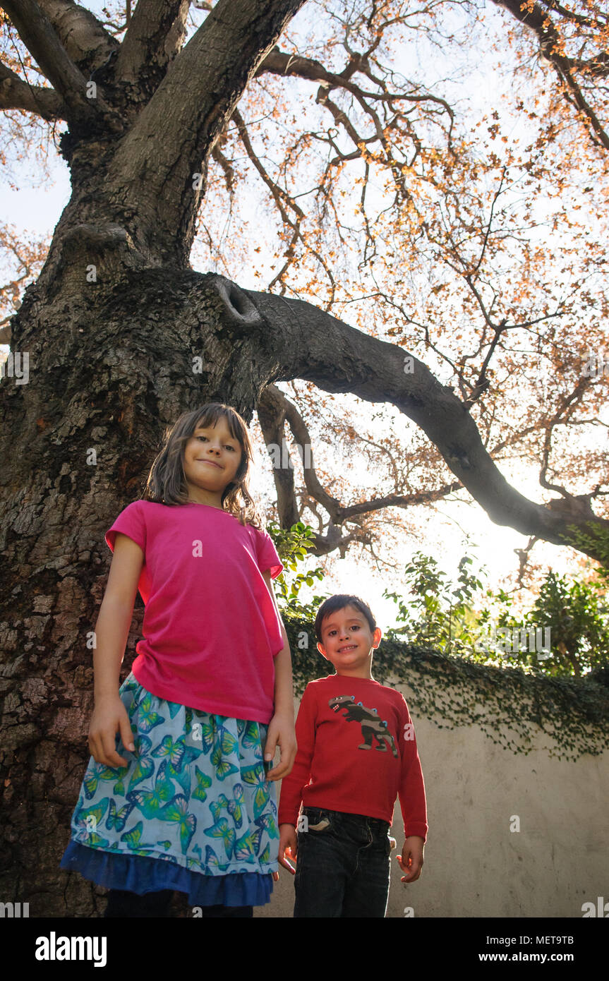 Large Oak Tree Children High Resolution Stock Photography and Images ...