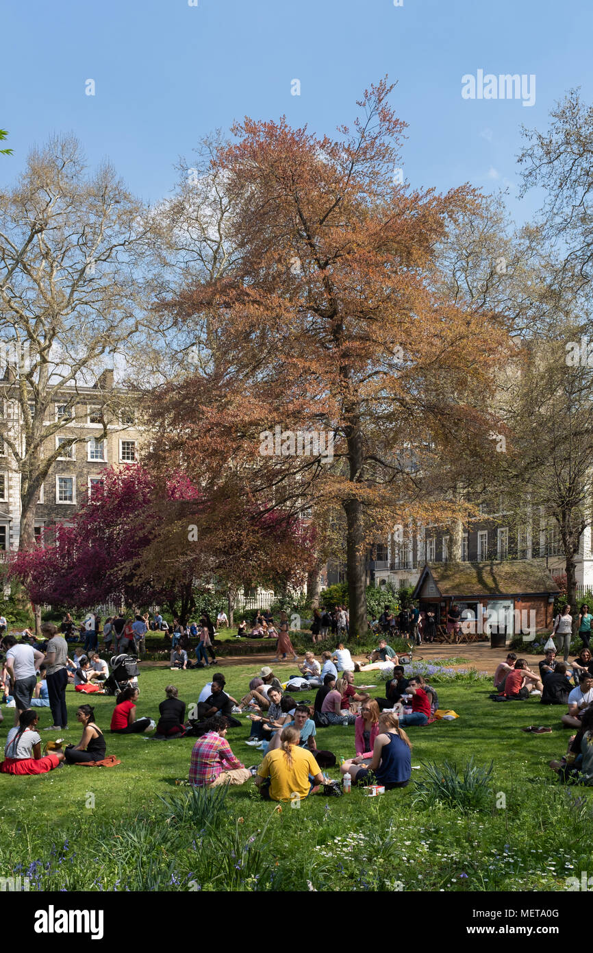 Gordon square hi-res stock photography and images - Alamy