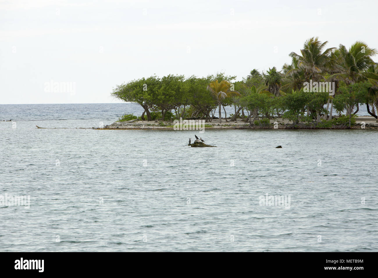 on the way Stock Photo - Alamy