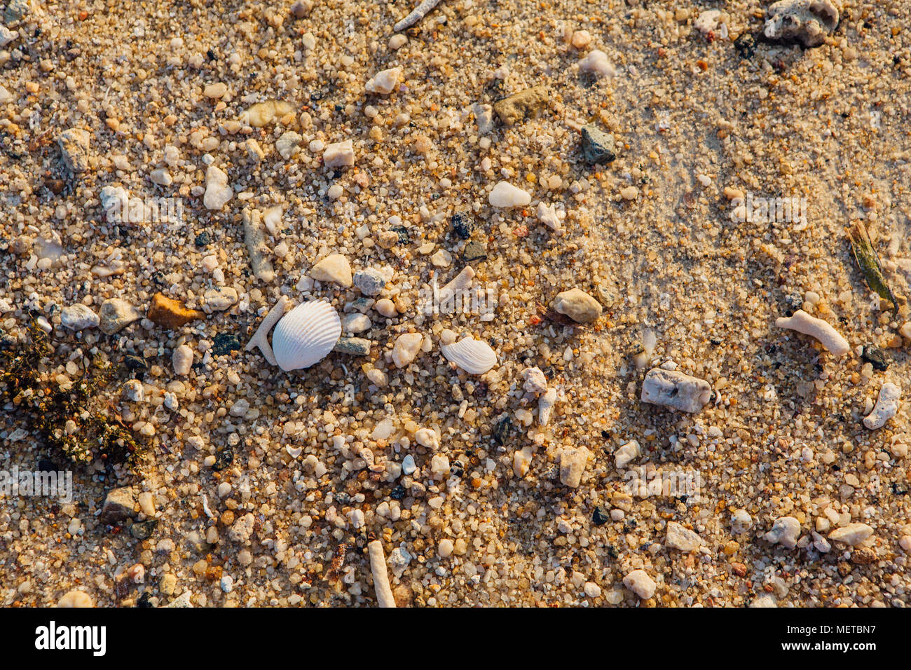 Sea sand texture made of shell and stone pieces Stock Photo - Alamy