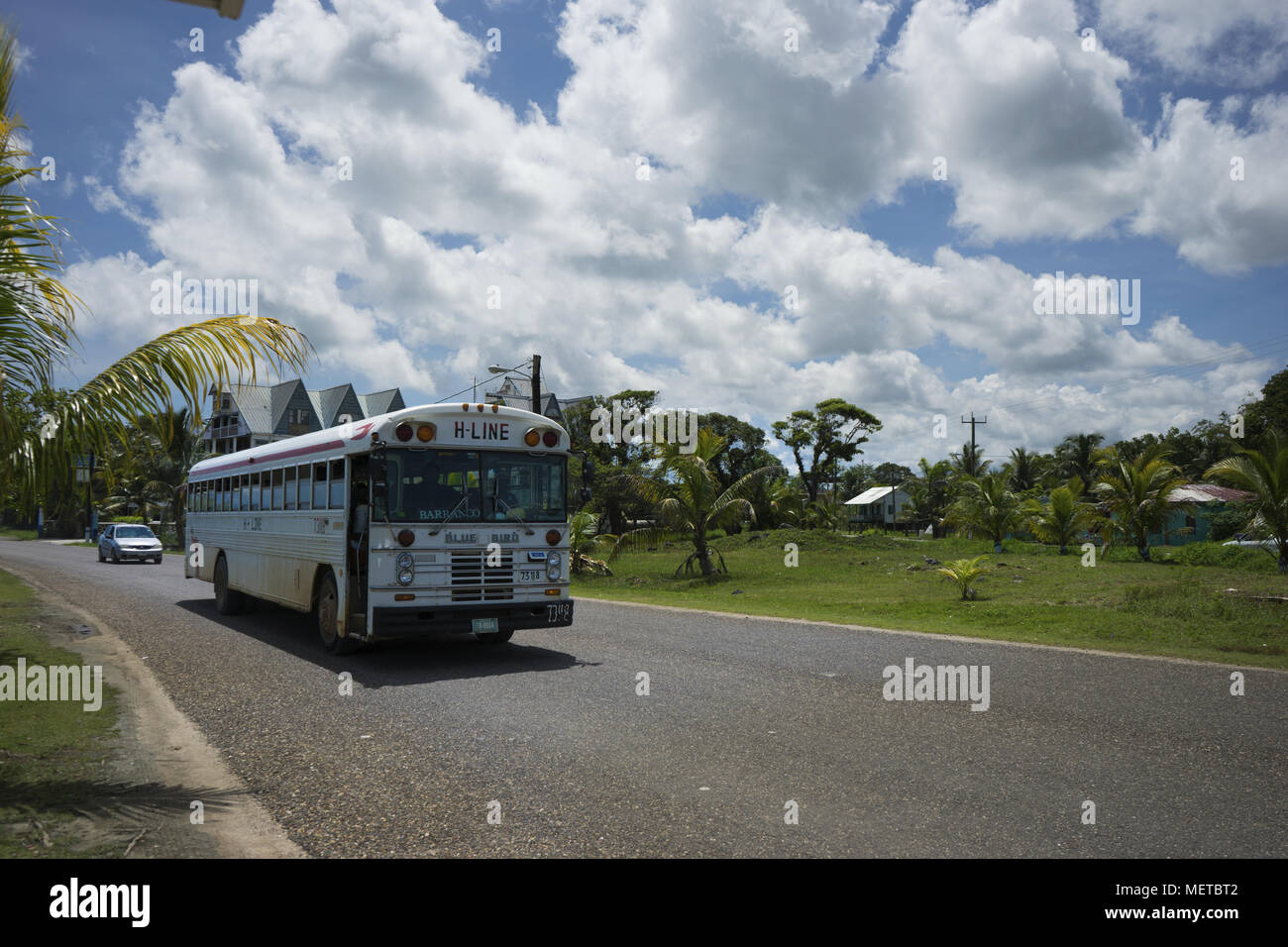 Belize bus hi-res stock photography and images - Alamy