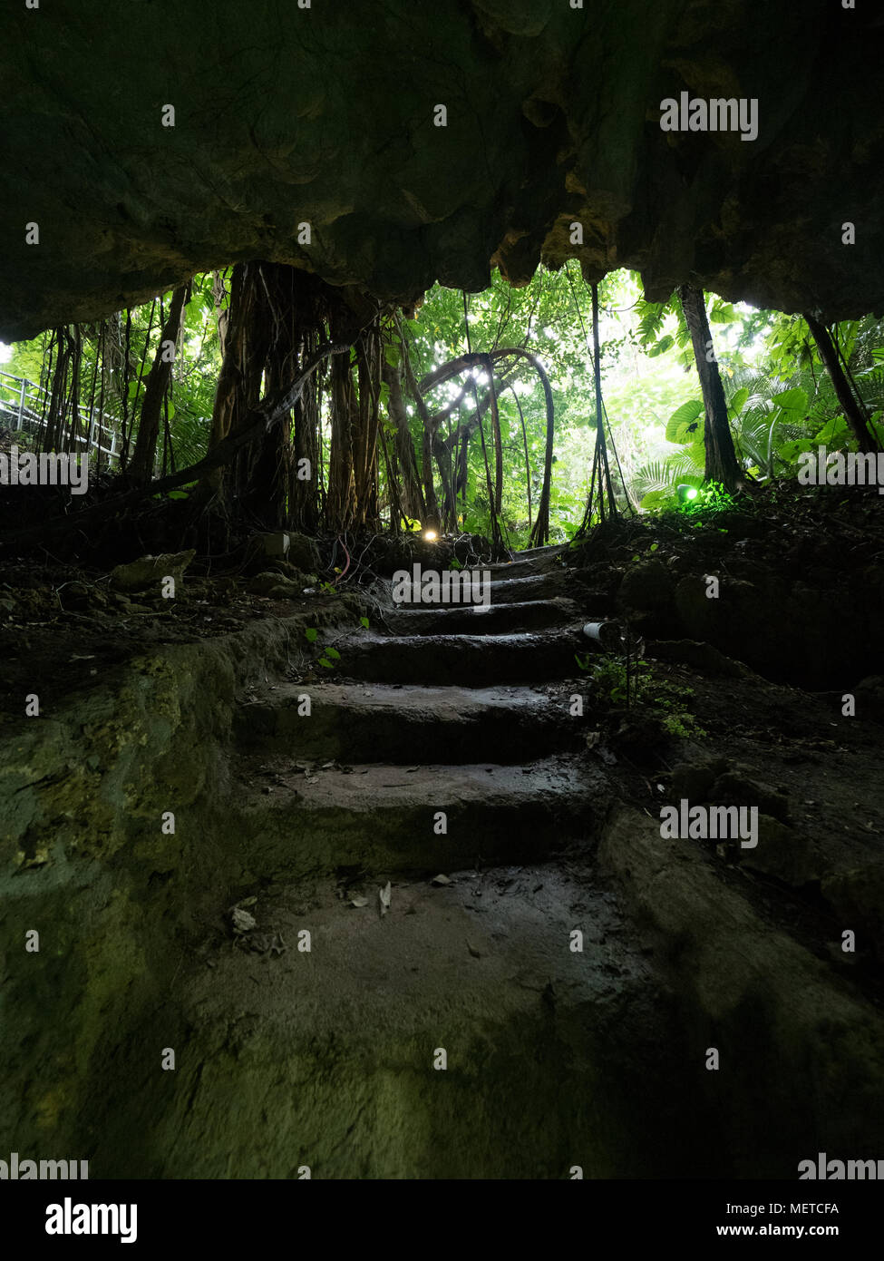 Caves in Ishigaki Island, Okinawa Prefecture, Japan Stock Photo - Alamy