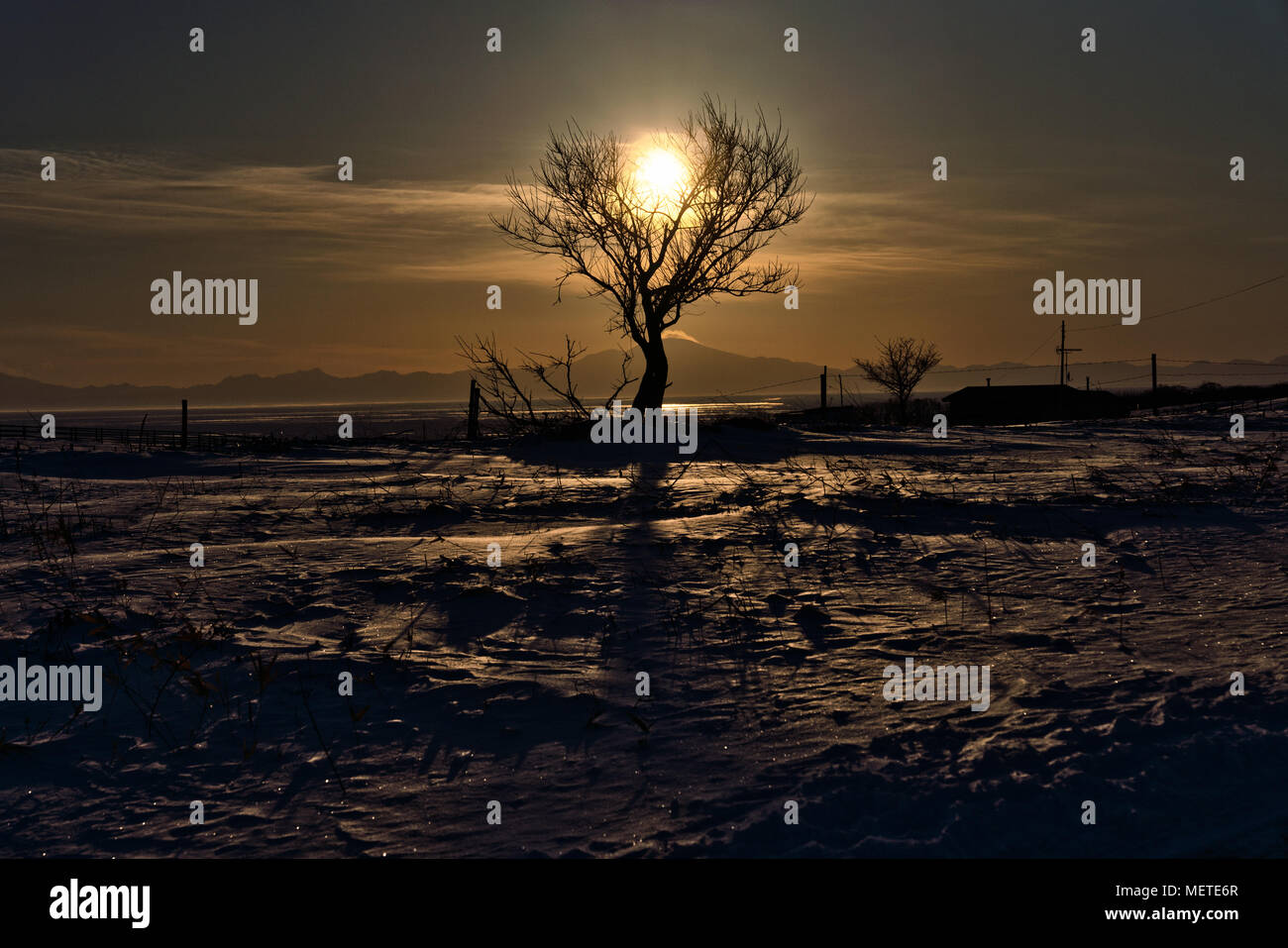 Notoro hi-res stock photography and images - Alamy