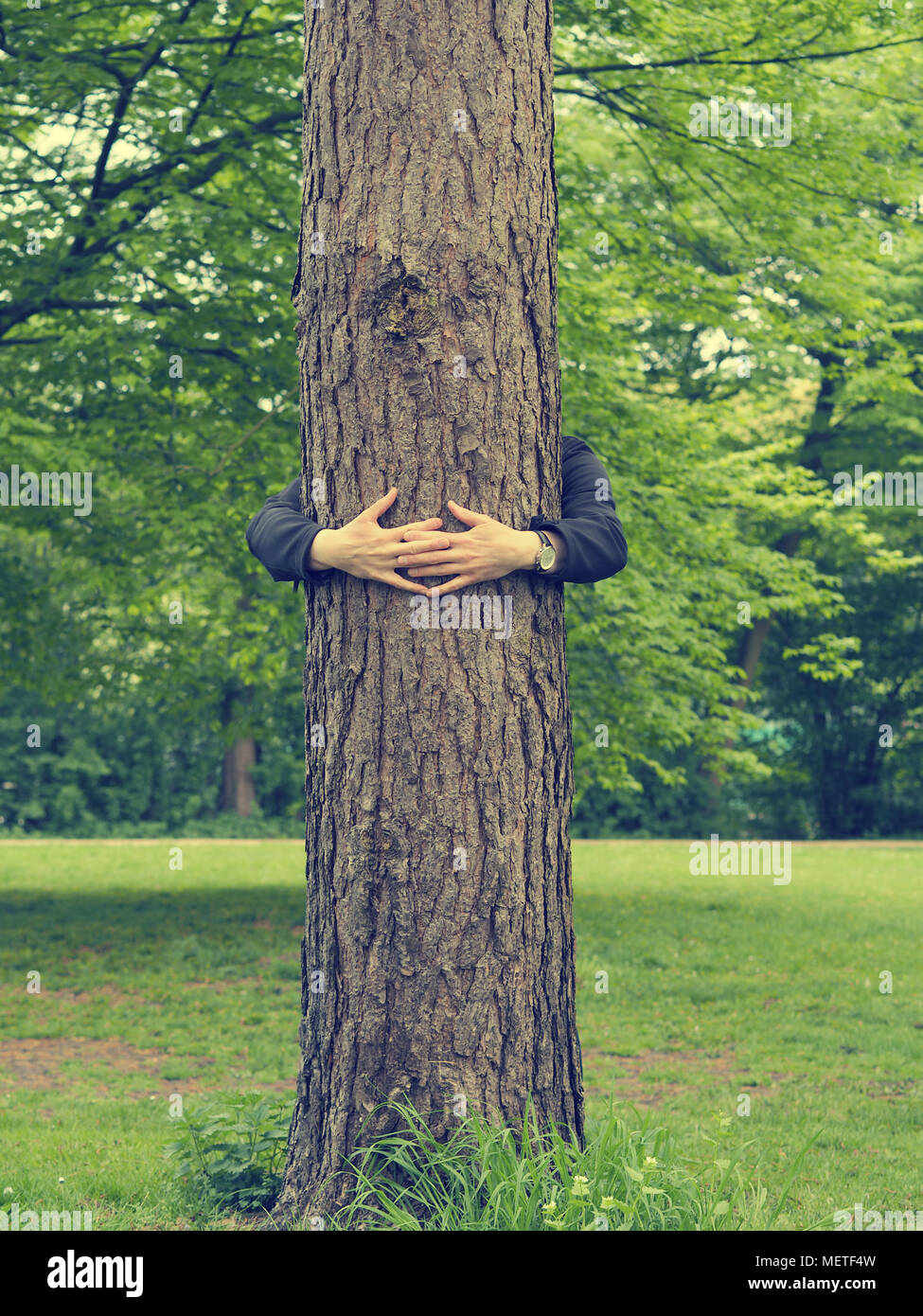 Young man hugs a big tree, environmental or friendship concept Stock ...