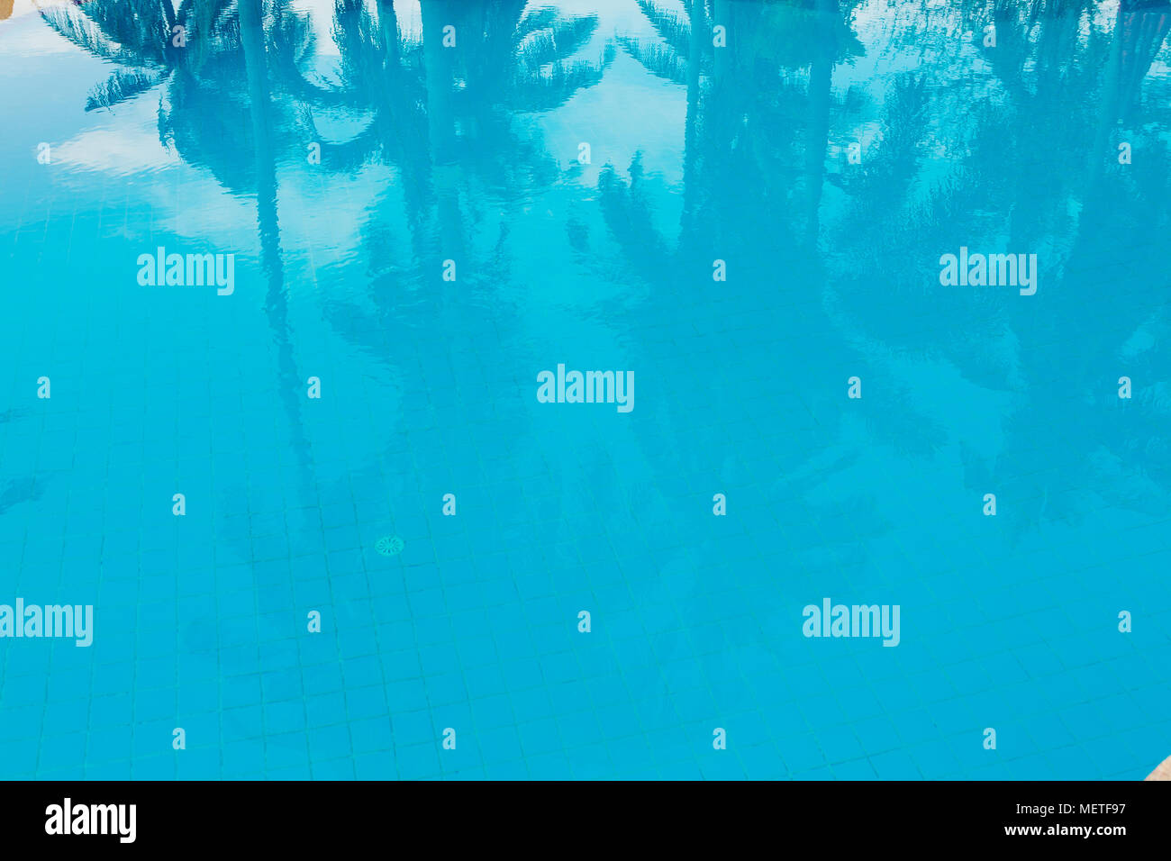 Palm trees reflection on a blue swimming pool water surface Stock Photo ...