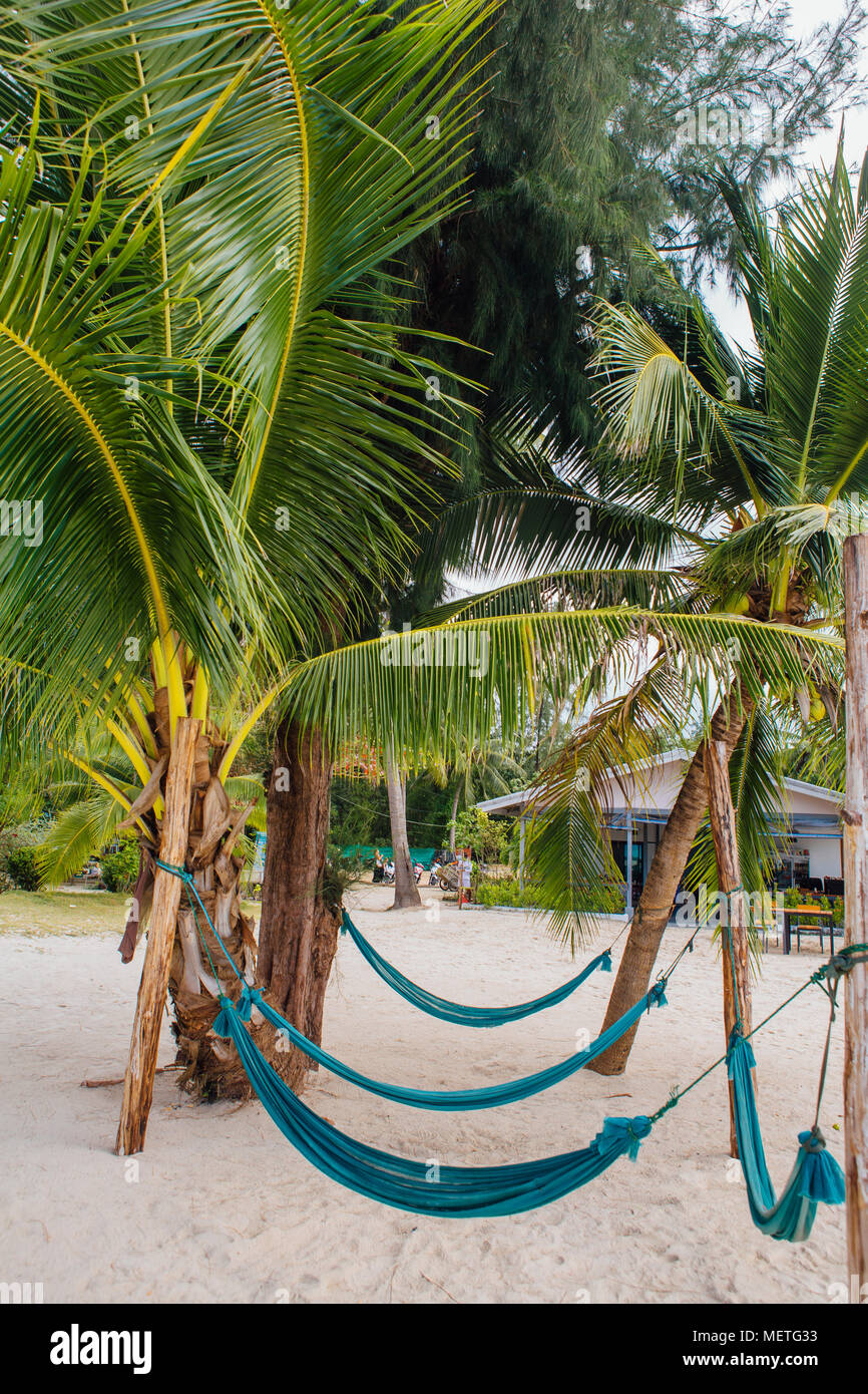 Empty hammock between palm trees on a tropical beach Stock Photo - Alamy