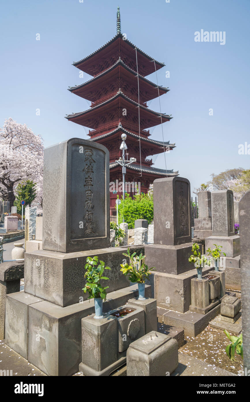 Five buddha family hi-res stock photography and images - Alamy