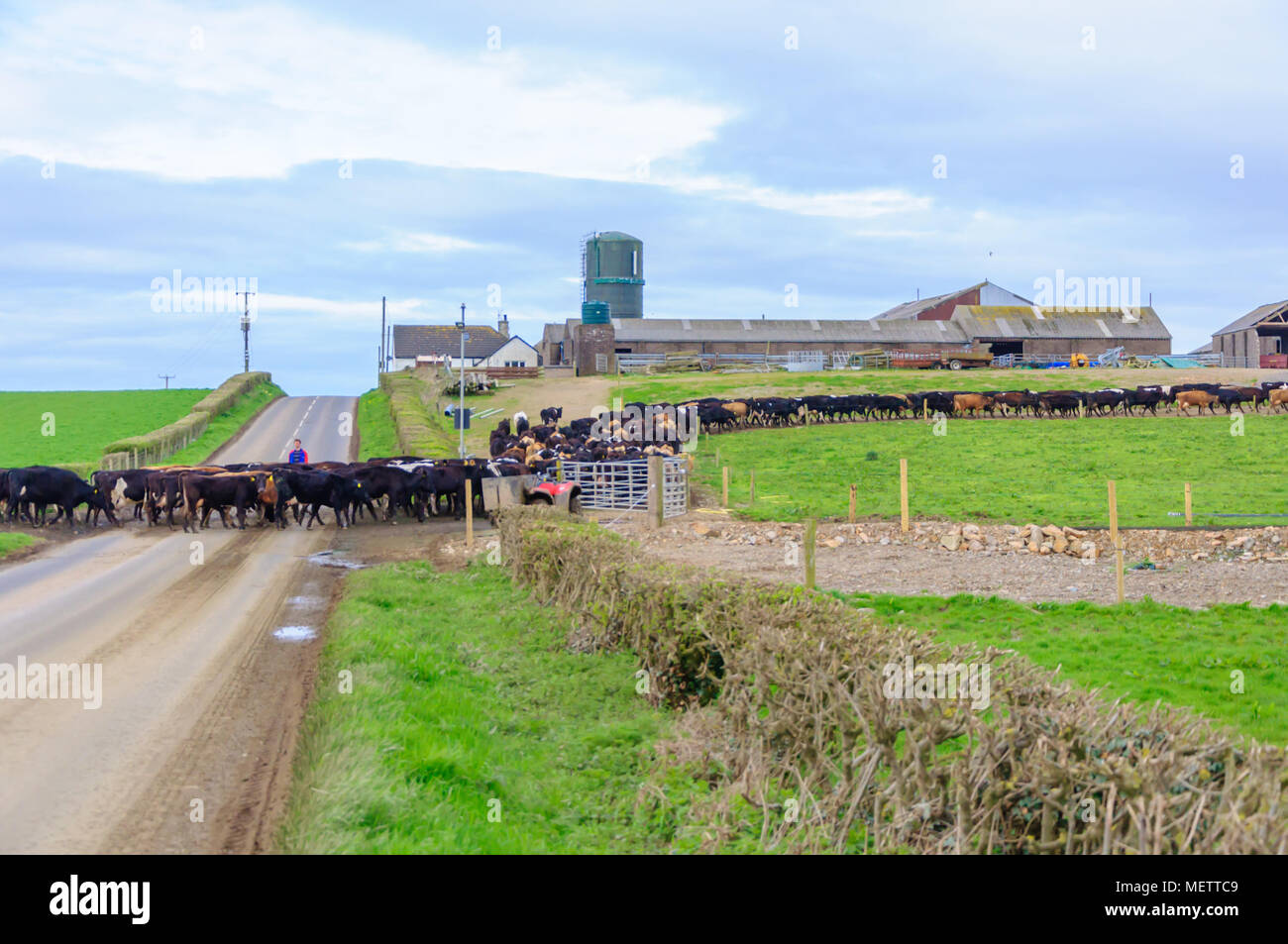 Port William, Dumfries & Galloway, Scotland, UK. 23rd April, 2018. UK ...