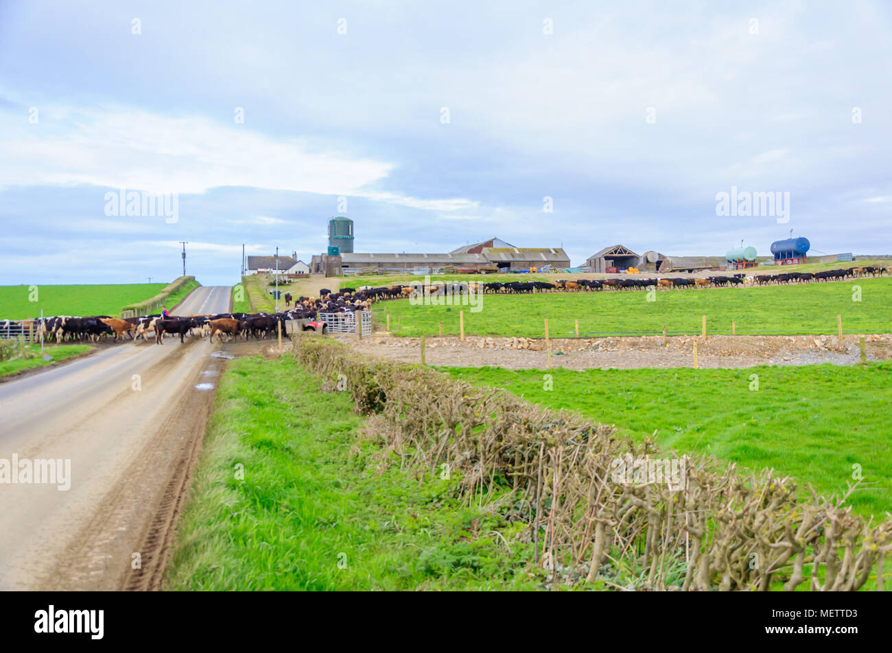 Port William, Dumfries & Galloway, Scotland, UK. 23rd April, 2018. UK ...