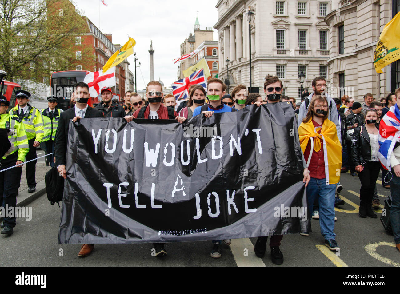 Count dankula dog hi-res stock photography and images - Alamy