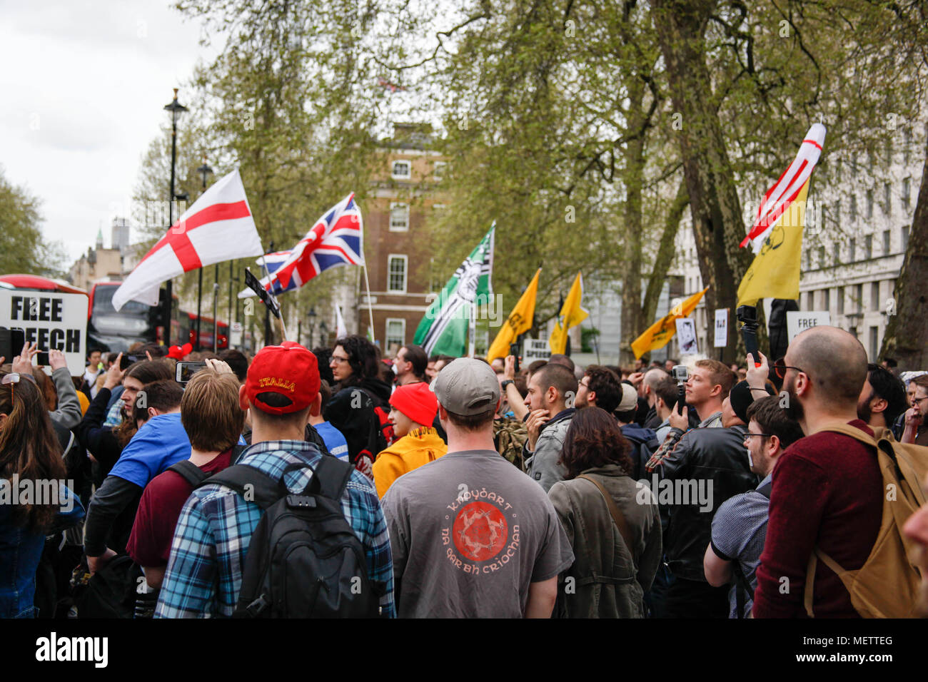 Count dankula dog hi-res stock photography and images - Alamy