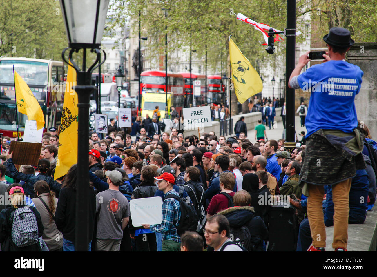 Count dankula dog hi-res stock photography and images - Alamy