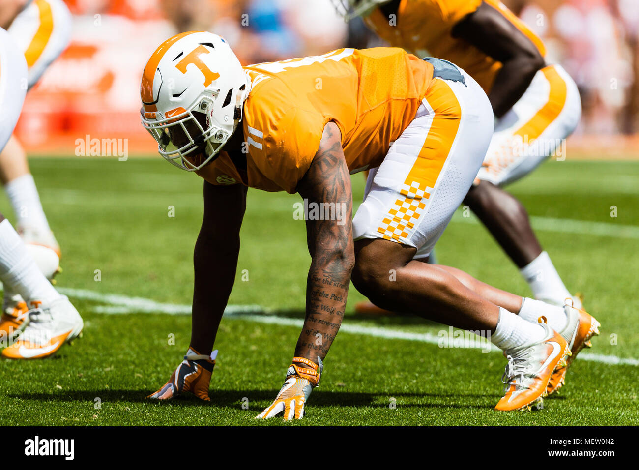 Austin smith hi-res stock photography and images - Alamy