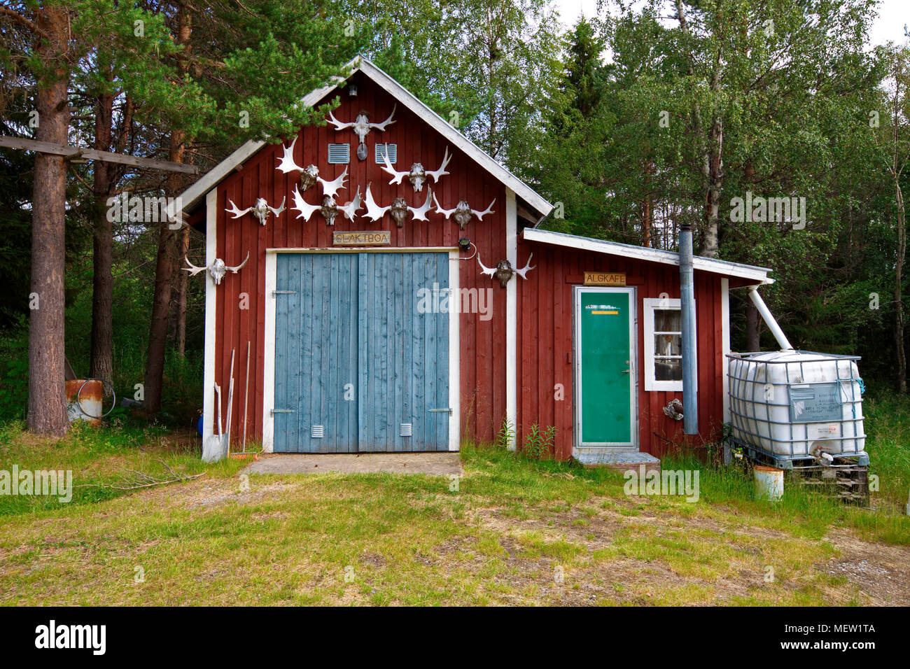 Hunting trophies are decorating a red wooden shed that is used to skin ...