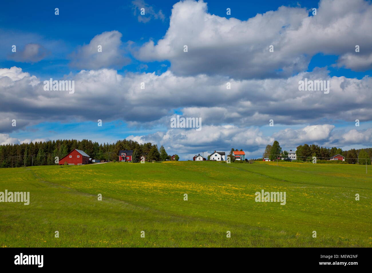 Rural Swedish village with flowering meadows on a sunny summer day ...