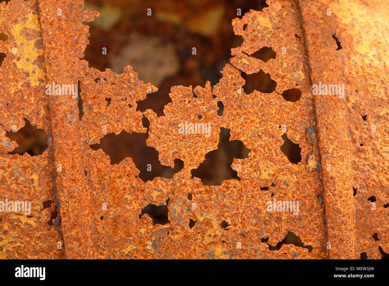 Exposed to sun hi-res stock photography and images - Alamy