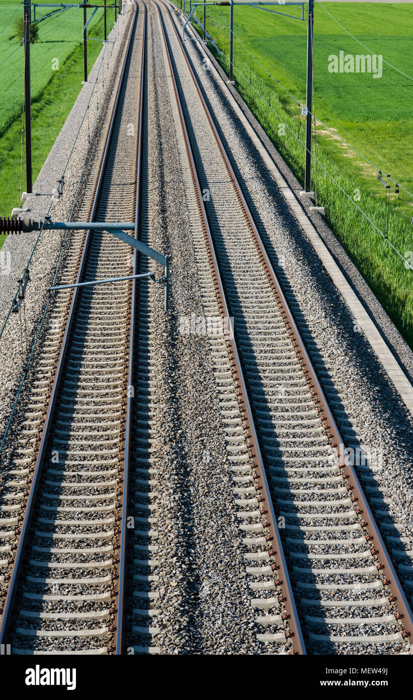 several railroad tracks leading to the horizon in midst of green fields ...