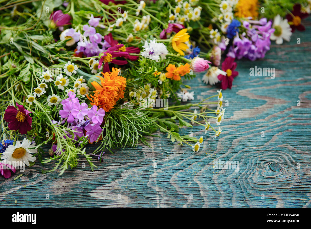 Summer flowers design Stock Photo - Alamy