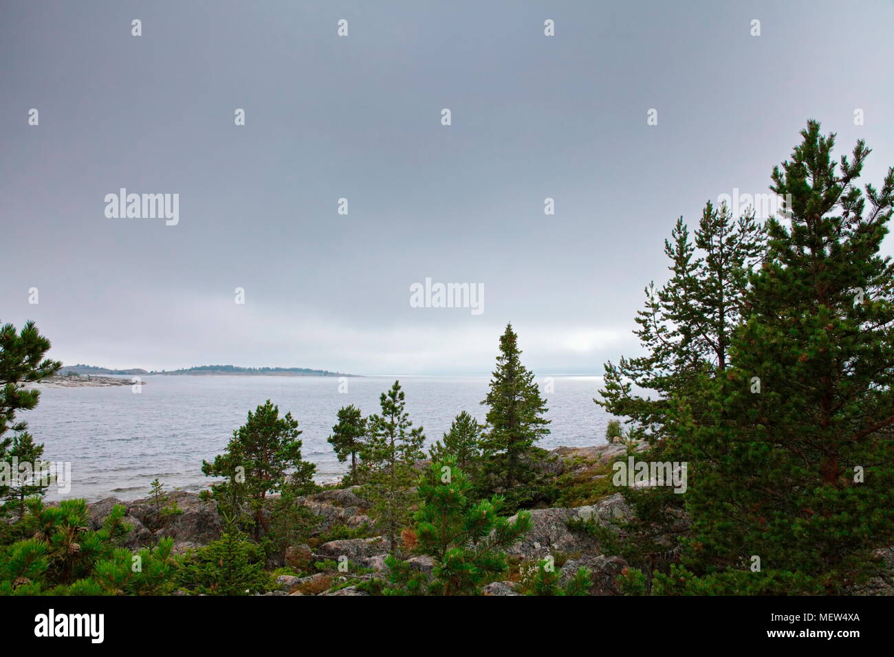 Shore of the Baltic Sea at the Swedish High Coast - UNESCO World ...