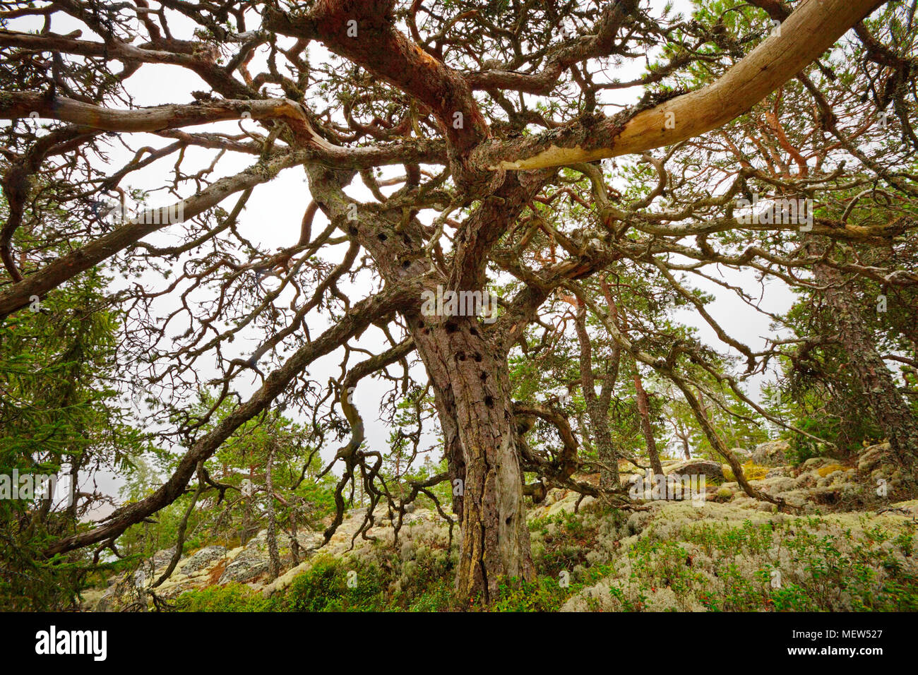 Weather worn hi-res stock photography and images - Alamy