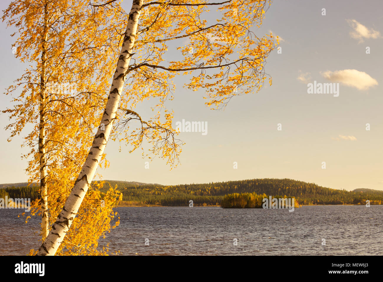 Fluttering leaves hi-res stock photography and images - Alamy