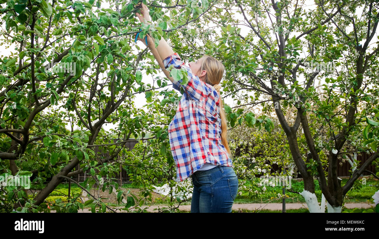 Young female gardenener cutting tree branches with garden cutters at ...