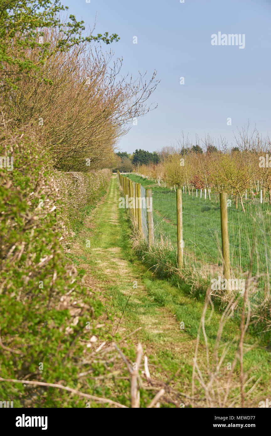 Stock Proof fencing showing the walkway around the area Stock Photo - Alamy