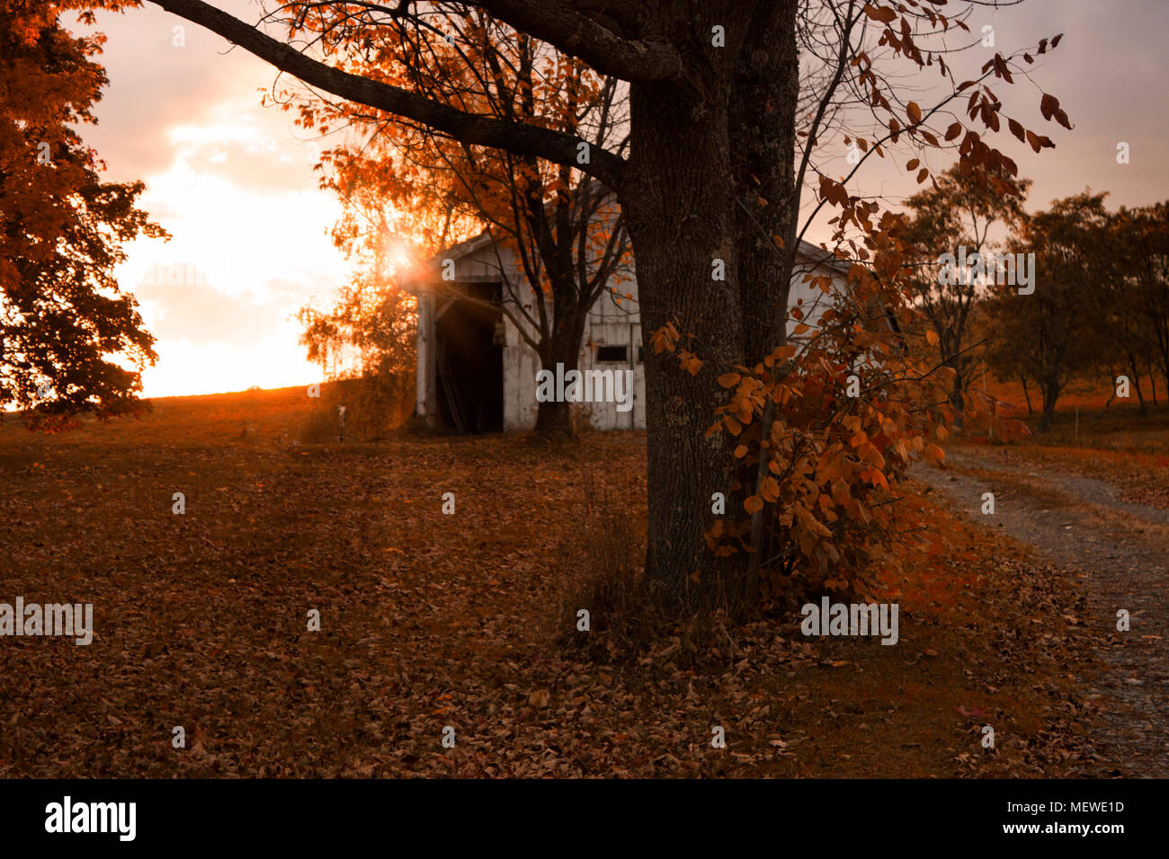 Setting sun behind a barn in the country on a fall evening with rays of ...