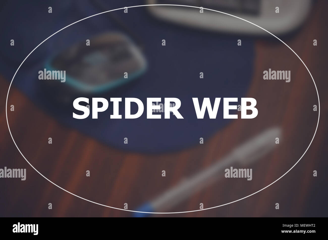Spider web word with business blurring background Stock Photo - Alamy
