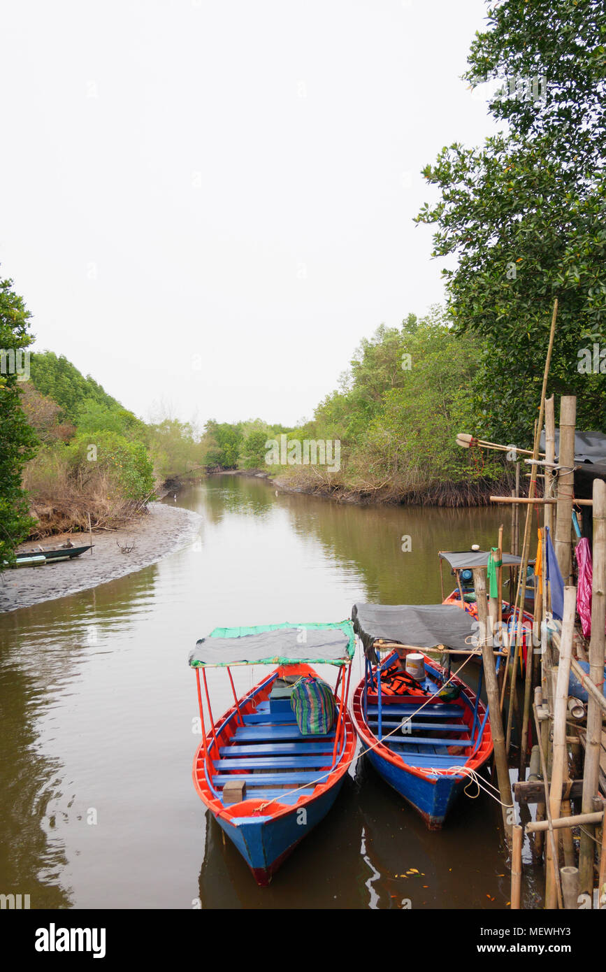 Mangrove tree boat in water hi-res stock photography and images - Alamy