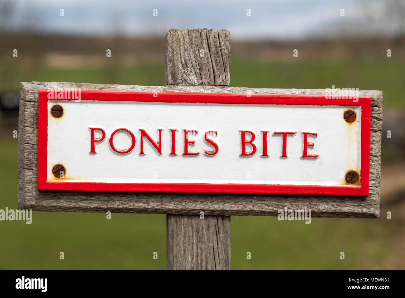 Old sign - Ponies Bite Stock Photo - Alamy