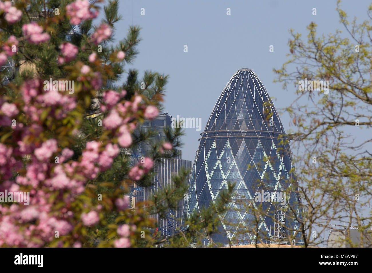 Nice gherkin hi-res stock photography and images - Alamy