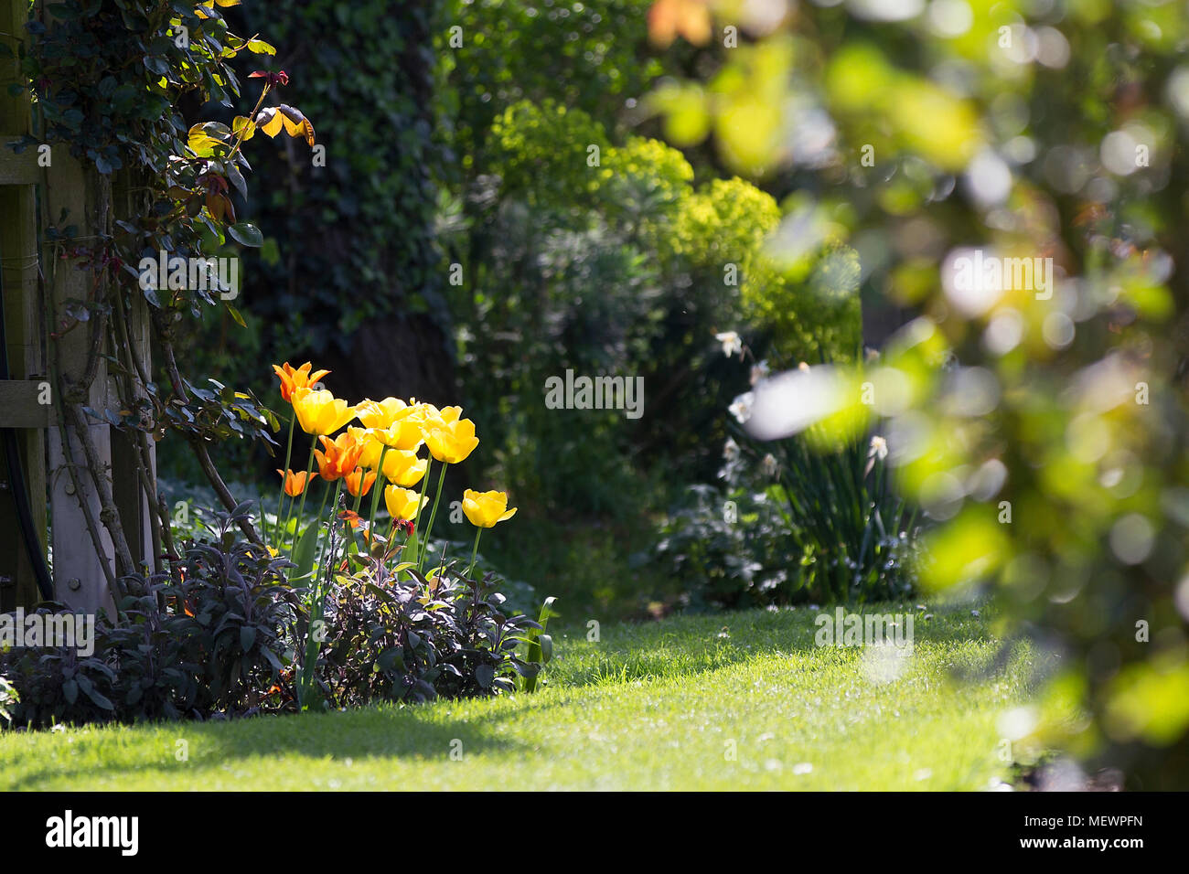 beautiful scenery of spring in london Stock Photo - Alamy
