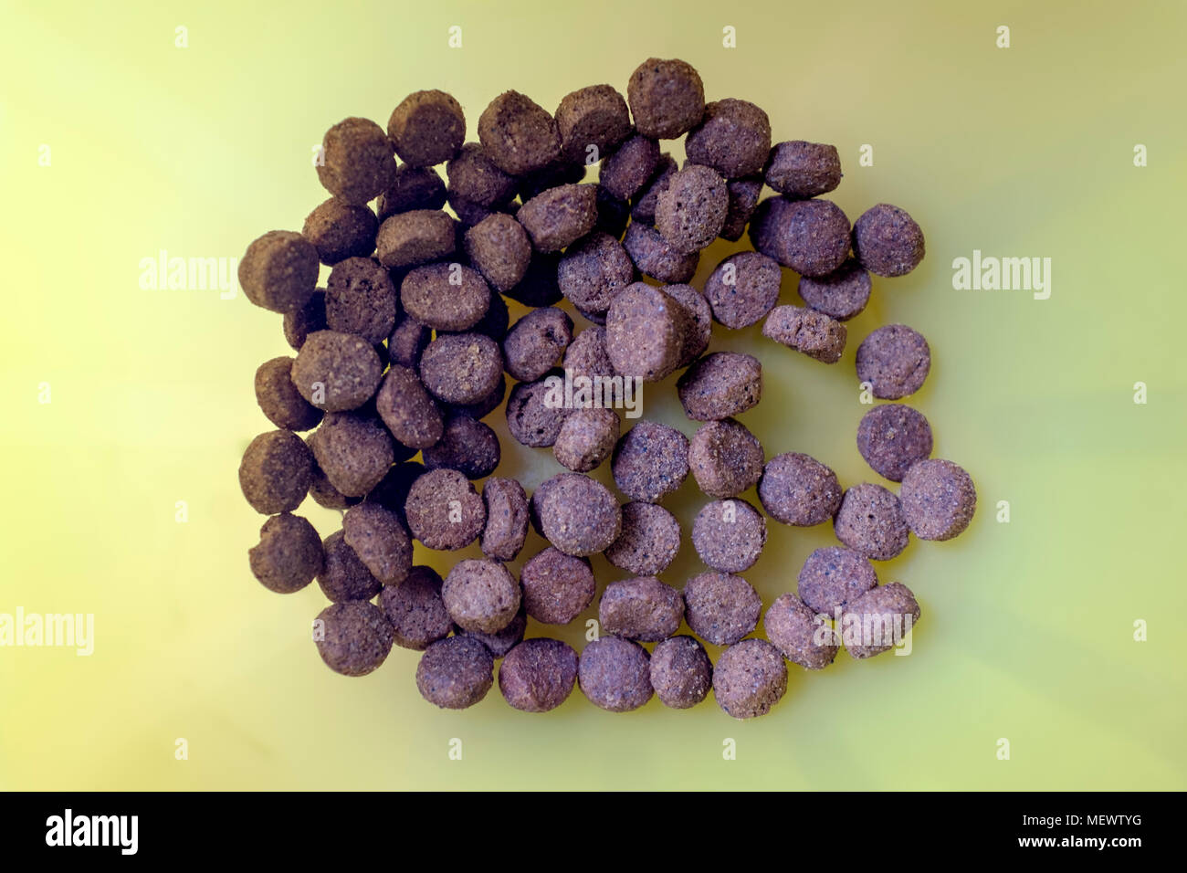 Cat food kibbles in a yellow plastic bowl Stock Photo - Alamy